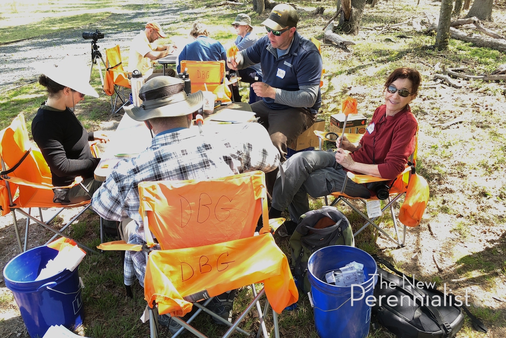 The Red Trowel: A Journey with Piet Oudolf & Friends - The New Perennialist
