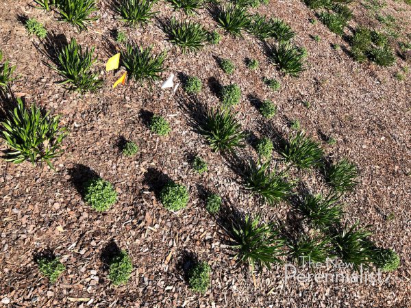 The Red Trowel: A Journey with Piet Oudolf & Friends - The New Perennialist