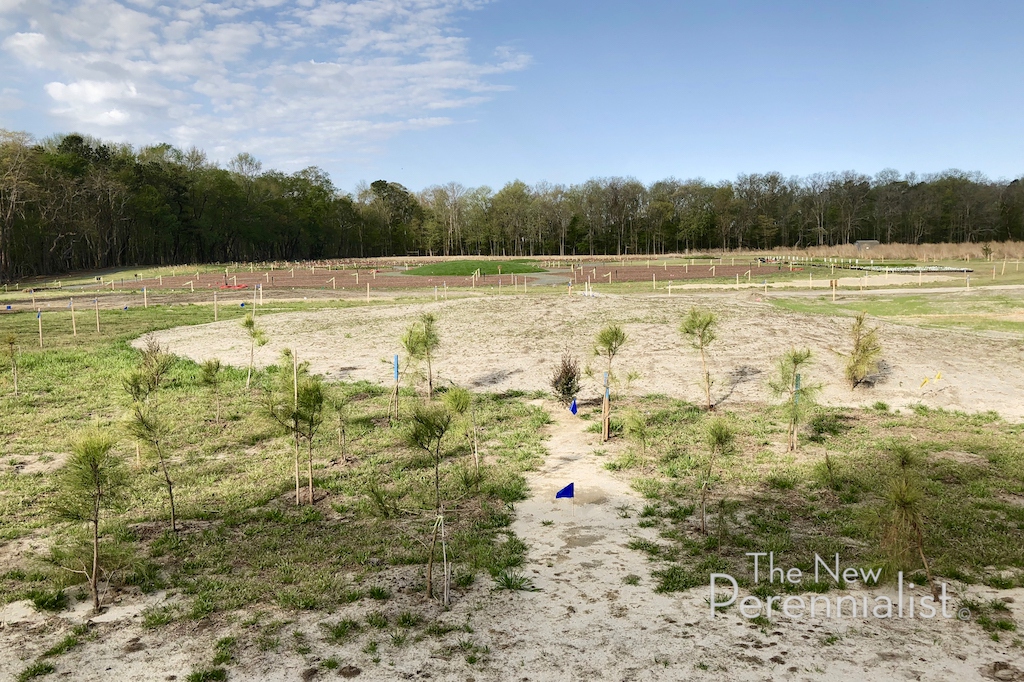 The Red Trowel: A Journey with Piet Oudolf & Friends - The New Perennialist