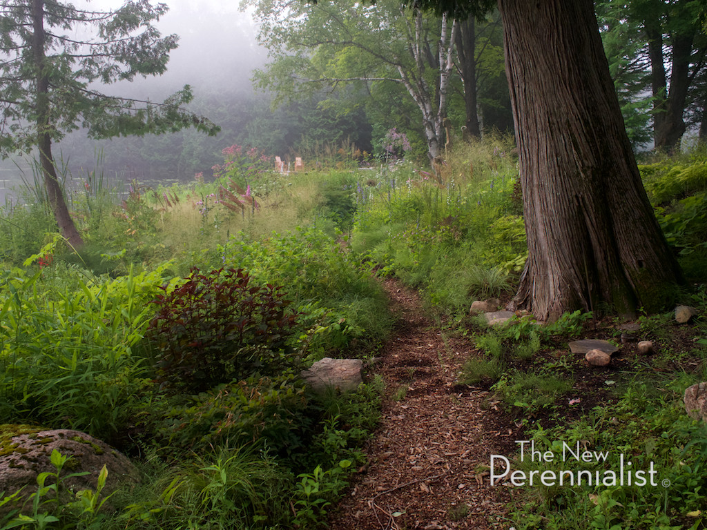 Fogbound: Inside the Veiled Garden - The New Perennialist