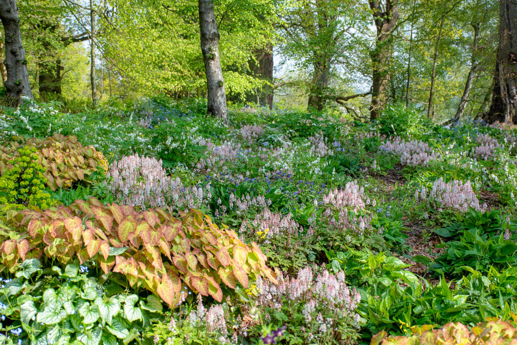 Nigel Dunnett on Future Nature: Reconnecting Plants and People - The ...