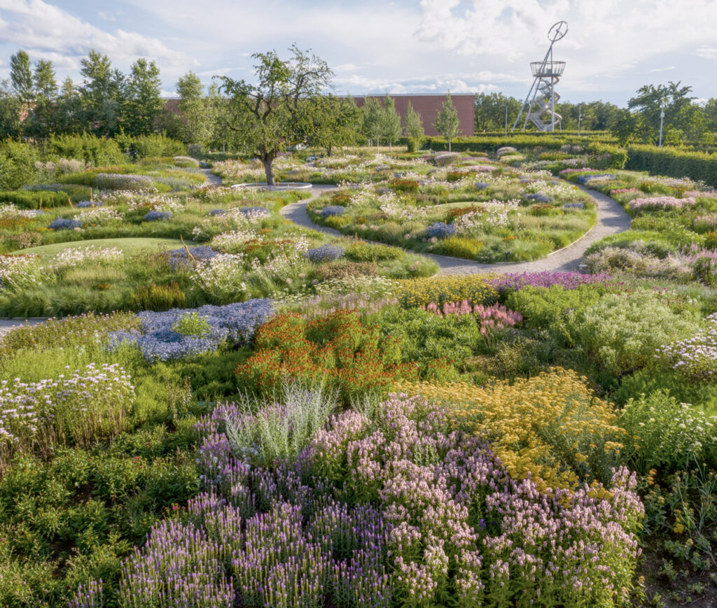 Piet Oudolf At Work: A Conversation - The New Perennialist